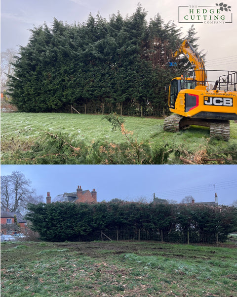 Alpha 320 Excavator Tree Shear - 5-15 Tonne – JB Equipment Ltd